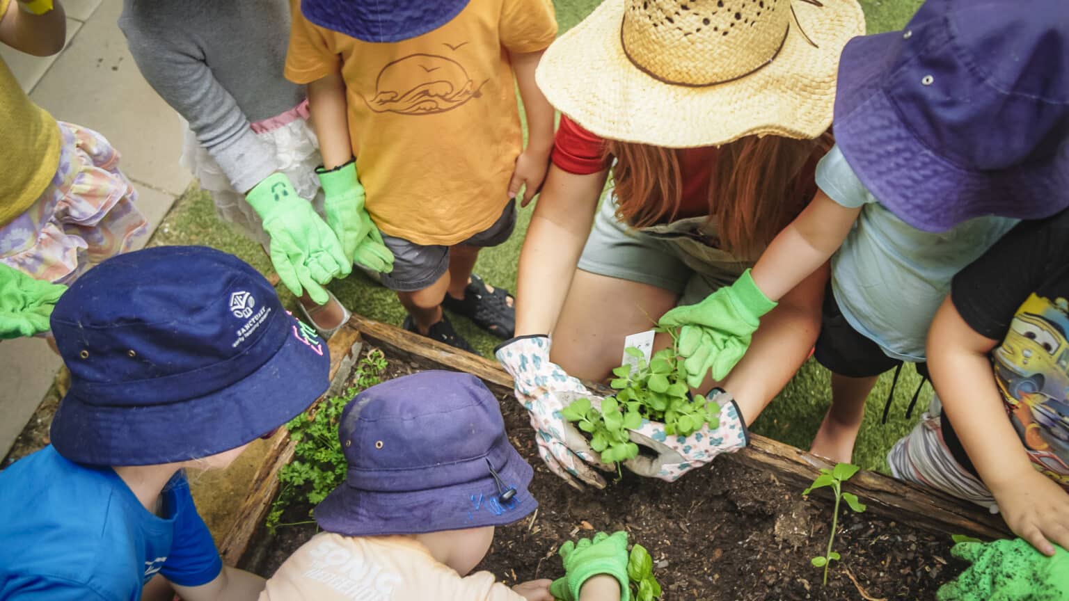 The Importance of STEAM in Early Childhood Education